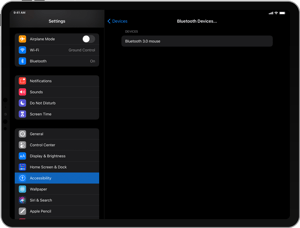How To View and Record On-screen Taps with Mouse Support in iPadOS