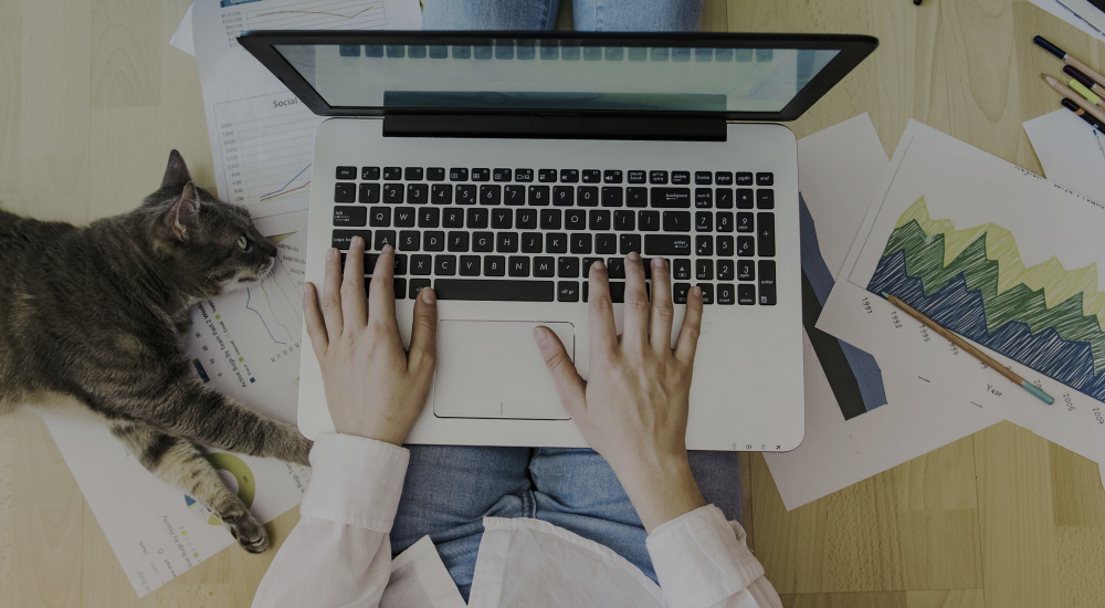 Reflector 4 Replaces Reflector Teacher and Reflector 3